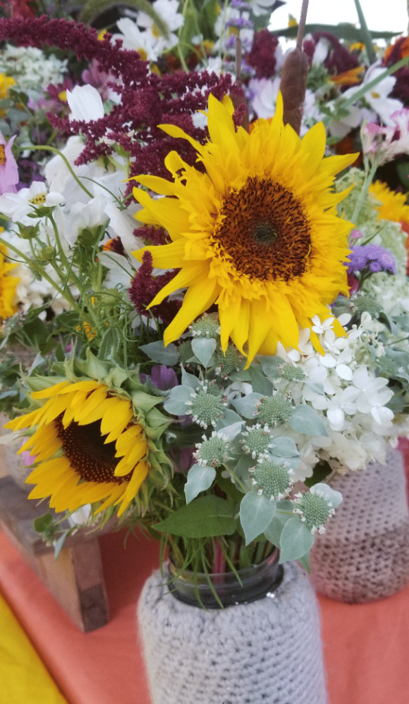 Fresh Cut Flowers - Glorious Daylily Farm